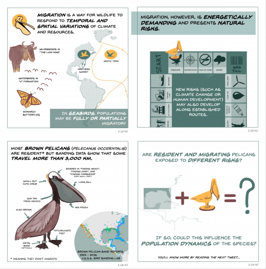 Project Pelican Graphic Novel – GoMAMN