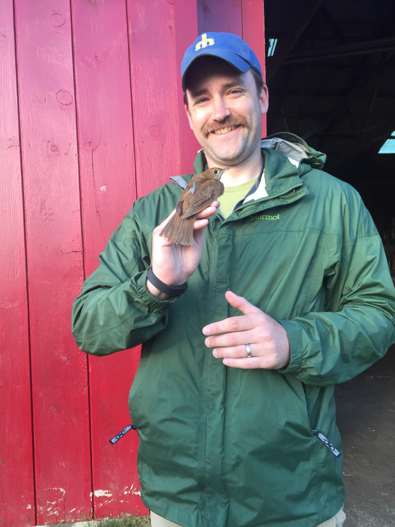 A Conversation with Evan Adams – GoMAMN